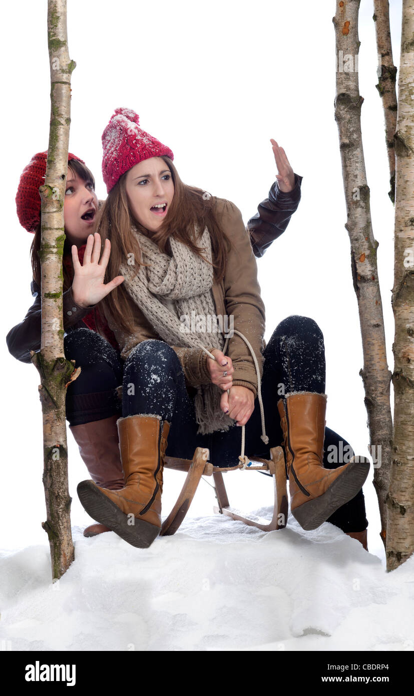 Long sledge hi-res stock photography and images - Alamy