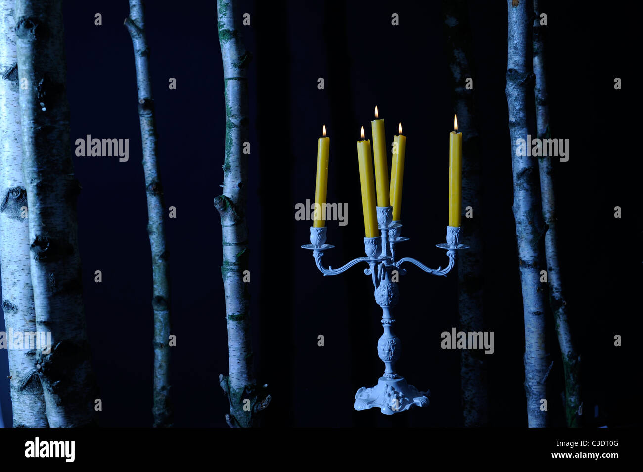 chandelier and candles between birch trees in the night Stock Photo - Alamy