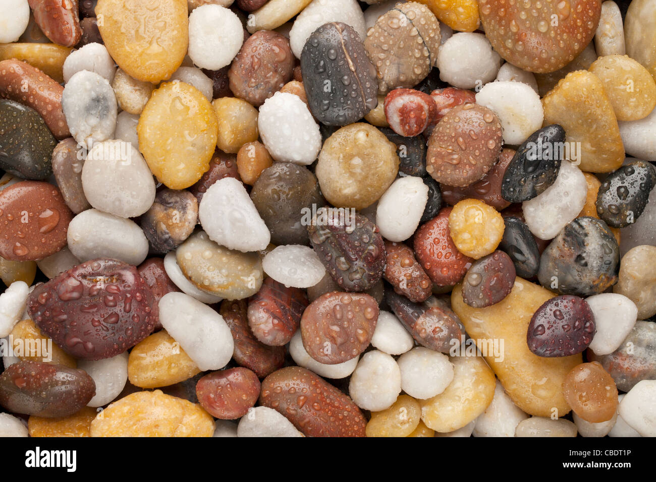 colorful river pebbles with water drops Stock Photo - Alamy