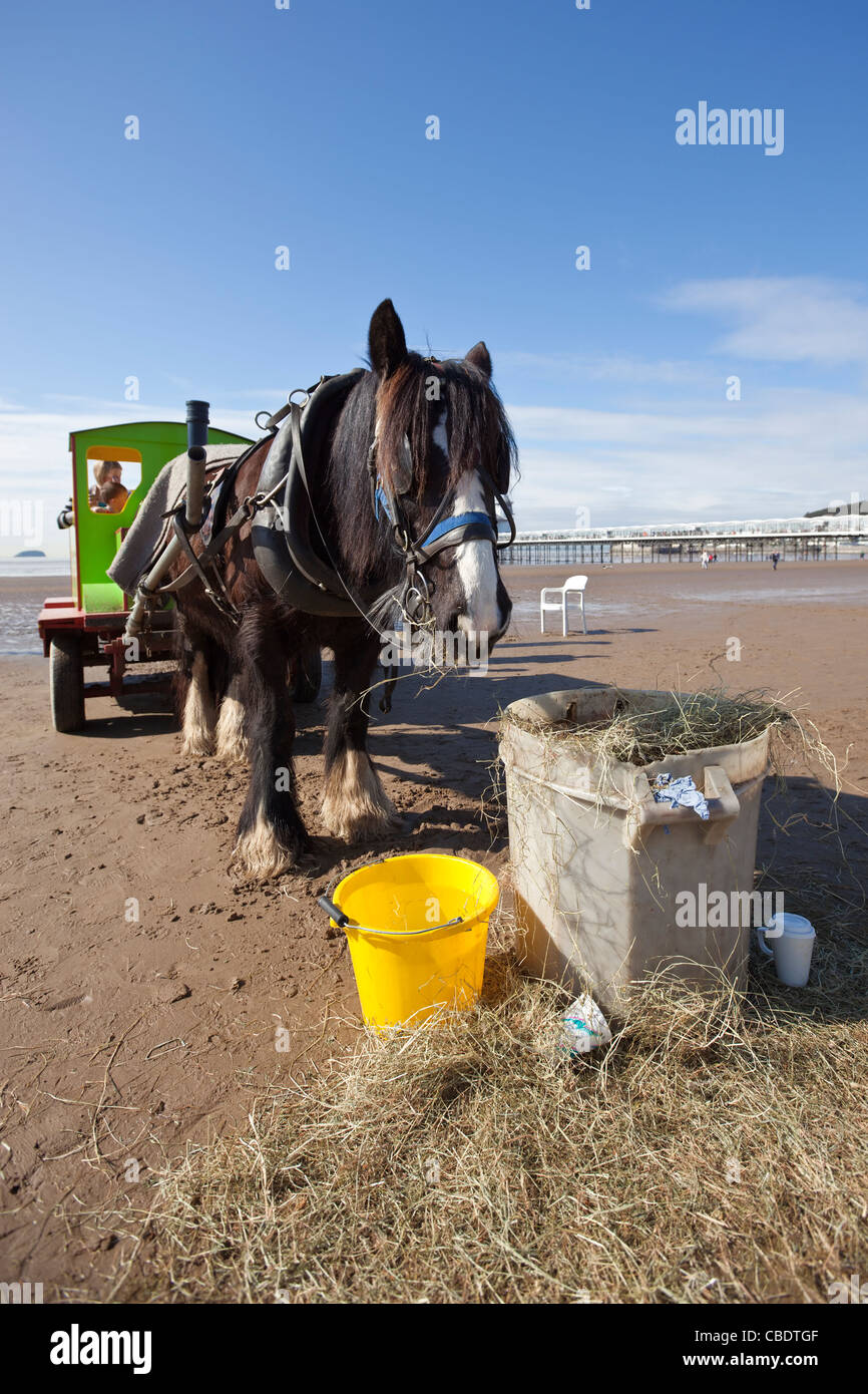 Horse and hay cart hi-res stock photography and images - Alamy