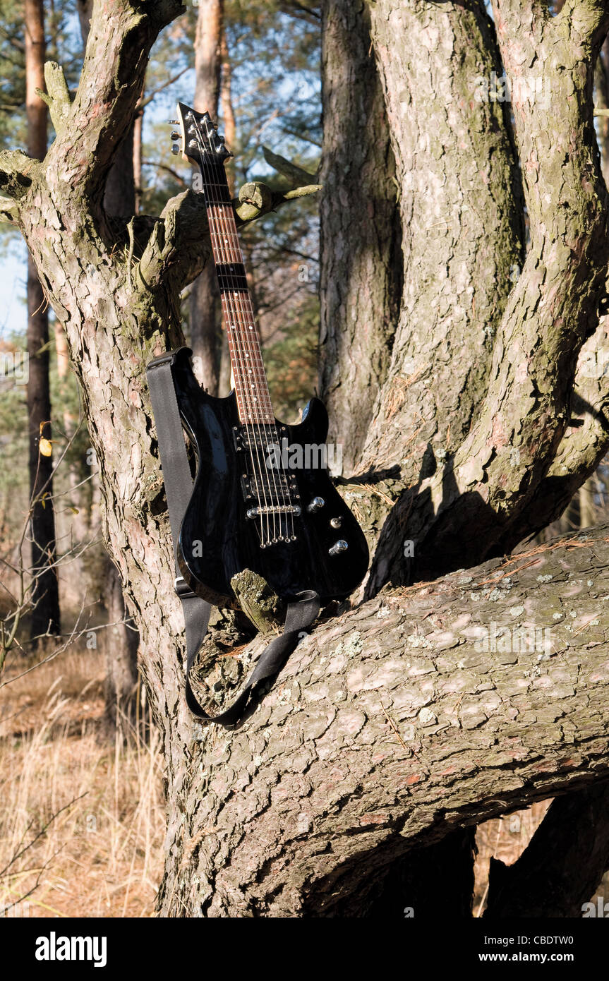 There is an electric guitar on the tree Stock Photo - Alamy