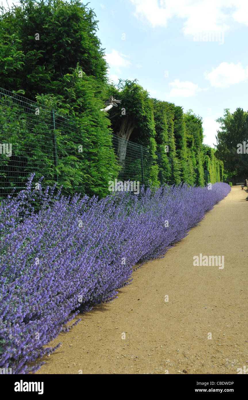 Caversham Court, Reading, Berkshire, U.K Stock Photo - Alamy
