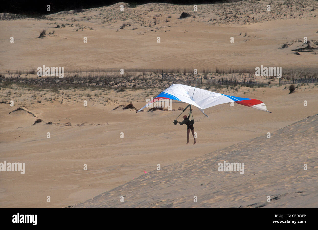 A hang glider soars off the high sand dunes at Jockeys Ridge State Park ...