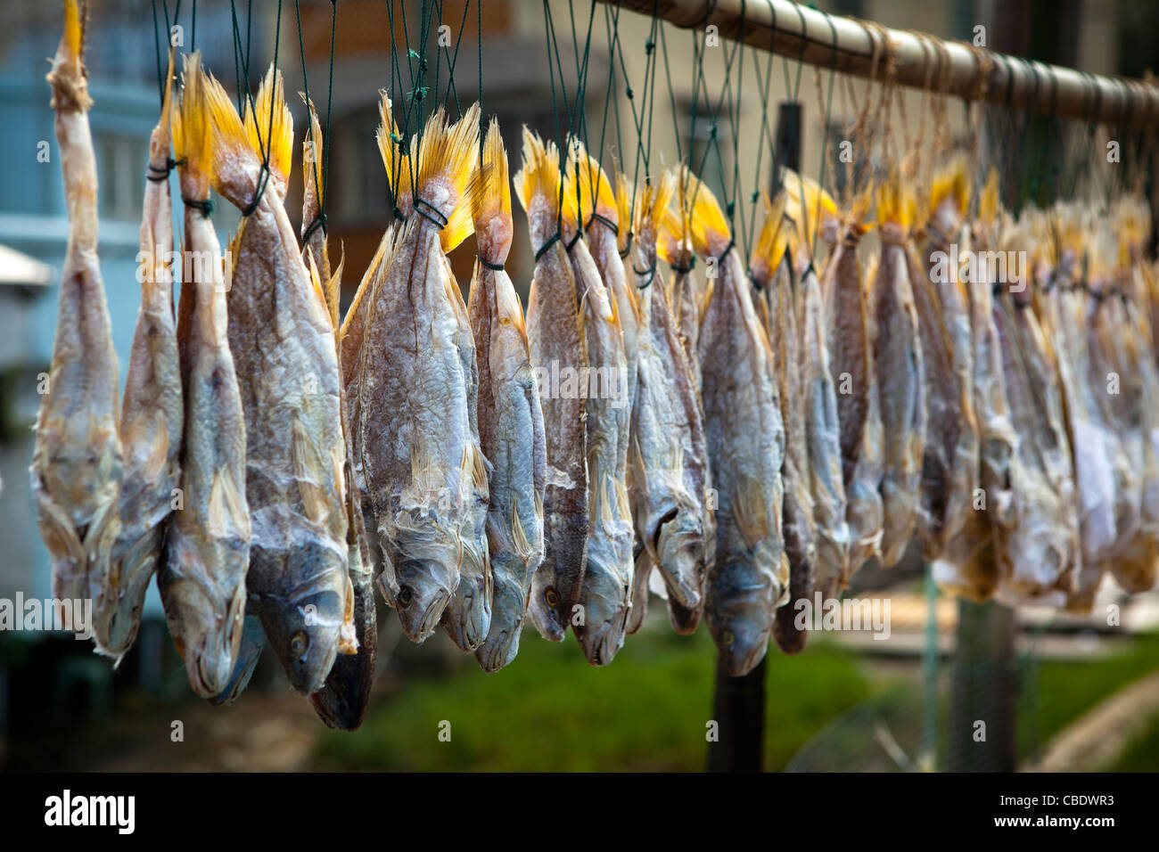 Air Drying Fish, Tai O Traditional Tanka Fishing Village, Hong Kong ...