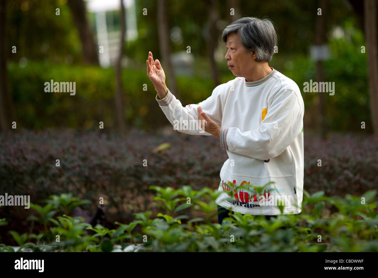 Public early morning Thai Chi exercise group Stock Photo - Alamy