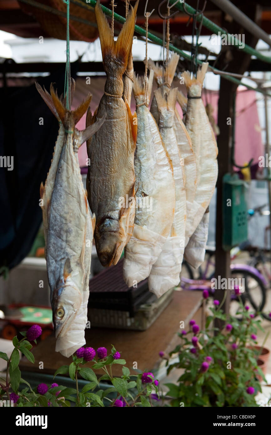 Air Drying Fish, Tai O Traditional Tanka Fishing Village, Hong Kong ...