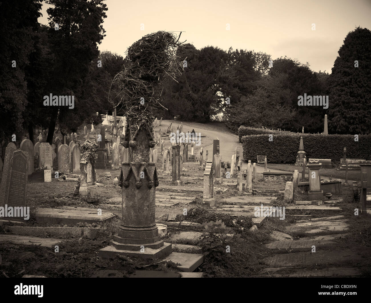 Cemetery in Chester Cheshire UK Stock Photo - Alamy