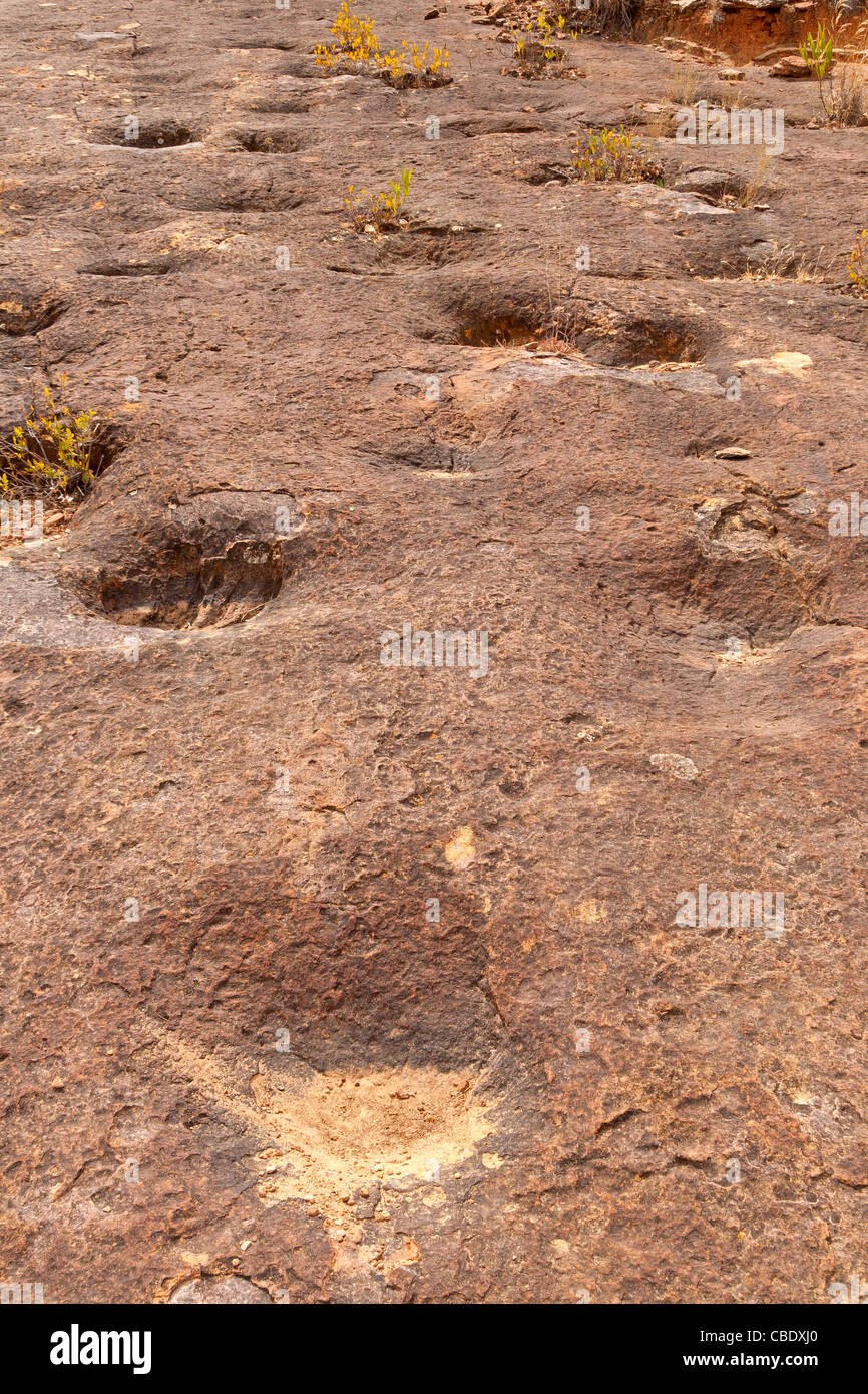 Fossilized dinosaur tracks in Torotoro national park, Bolivia ...