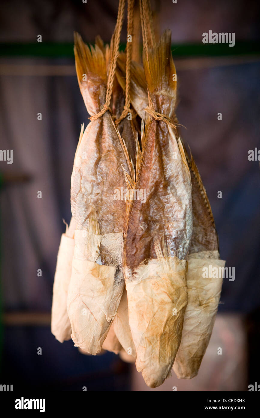 Air Drying Fish, Tai O Traditional Tanka Fishing Village, Hong Kong ...