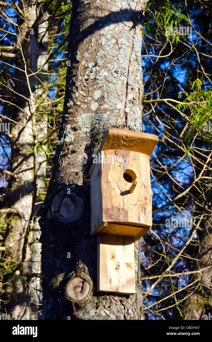 Newly nailed wooden bird nesting-box attached to tree trunk Stock Photo ...