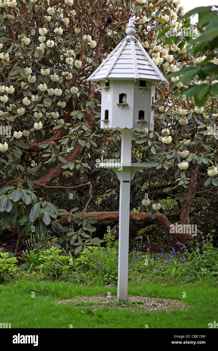 bird home birdhouse Stock Photo - Alamy
