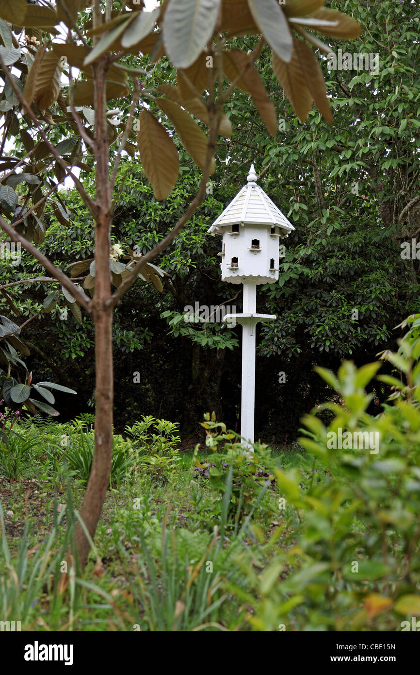 bird home birdhouse Stock Photo - Alamy