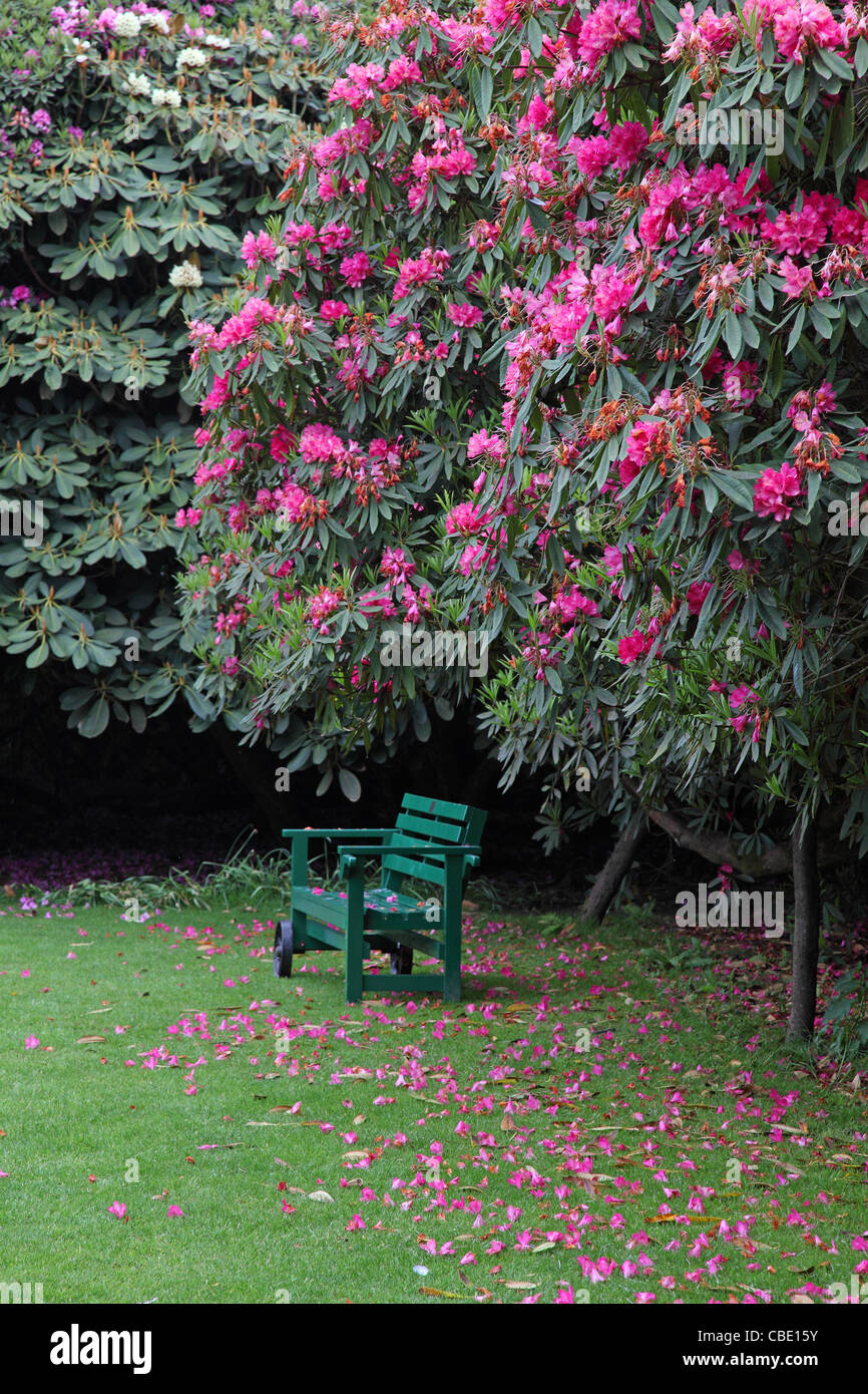 Heligan house lost gardens heligan hi-res stock photography and images ...