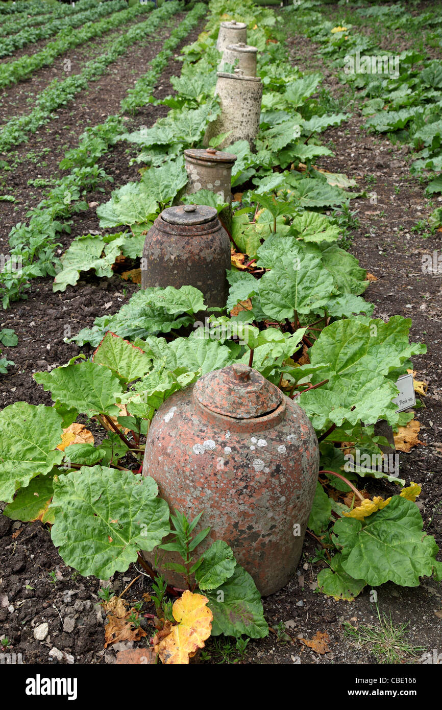 vintage garden pottery Stock Photo - Alamy