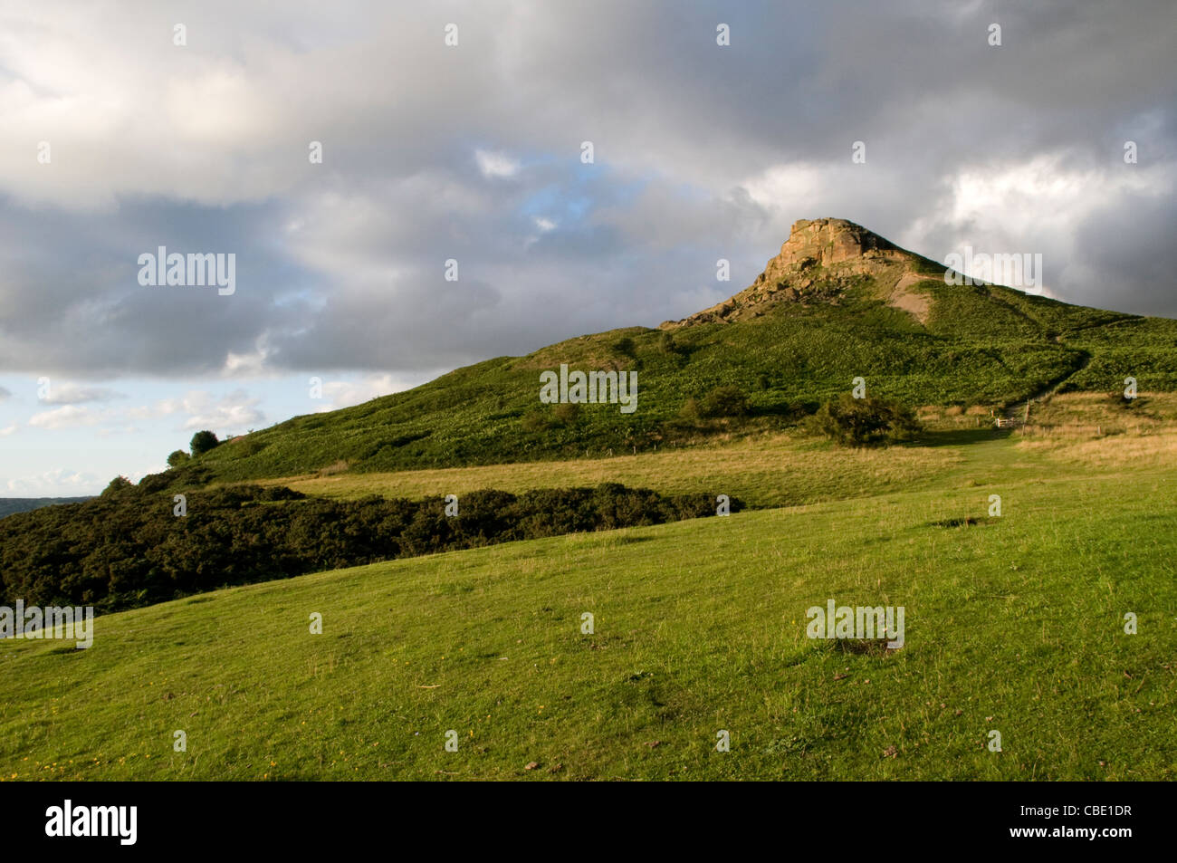 Roseberry Topping in Yorkshire, green fields and topping with path ...