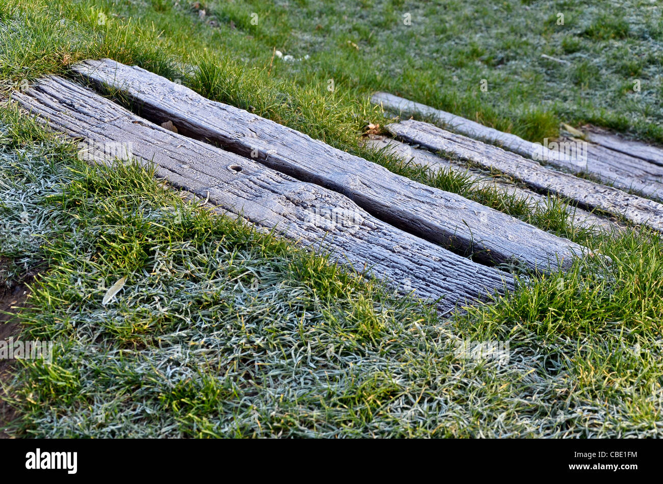 Permafrost hi-res stock photography and images - Alamy