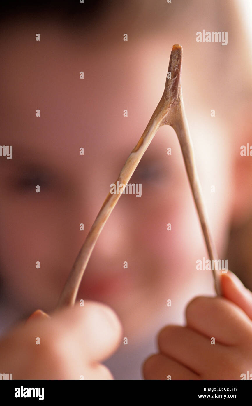 Young girl pulling on a wishbone close up of hands Stock Photo - Alamy