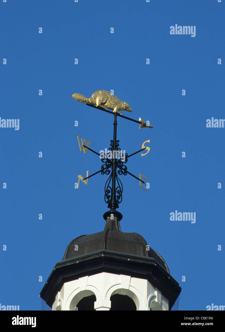 Beaver weather vane, London Stock Photo - Alamy