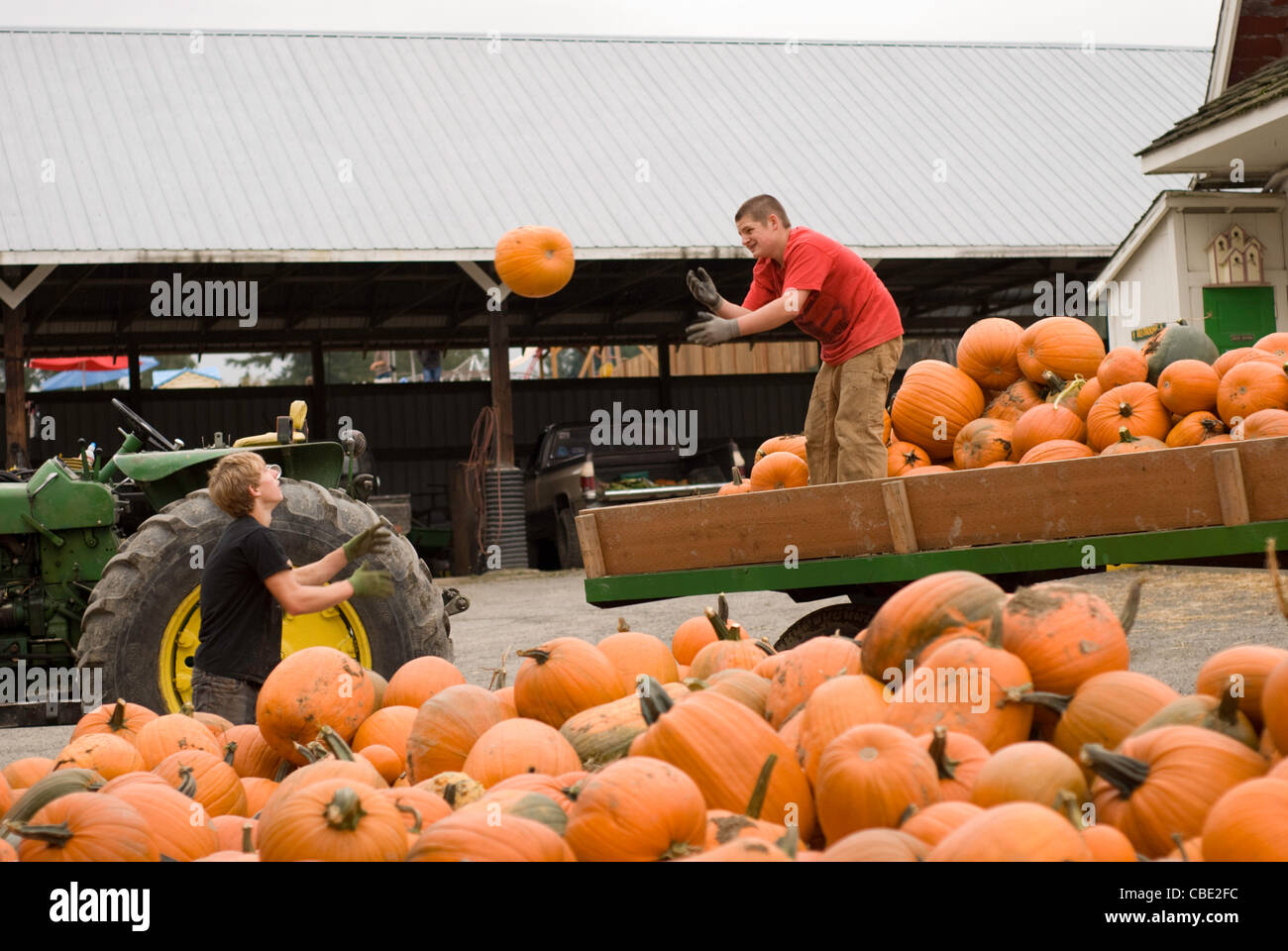 Pumpkins in a tractor hi-res stock photography and images - Alamy
