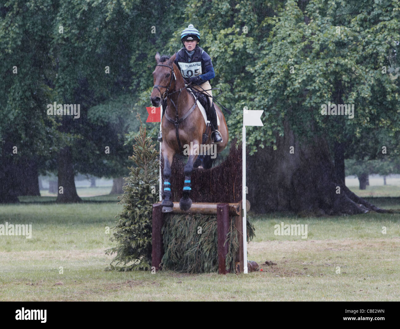 Forget Fence High Resolution Stock Photography and Images - Alamy