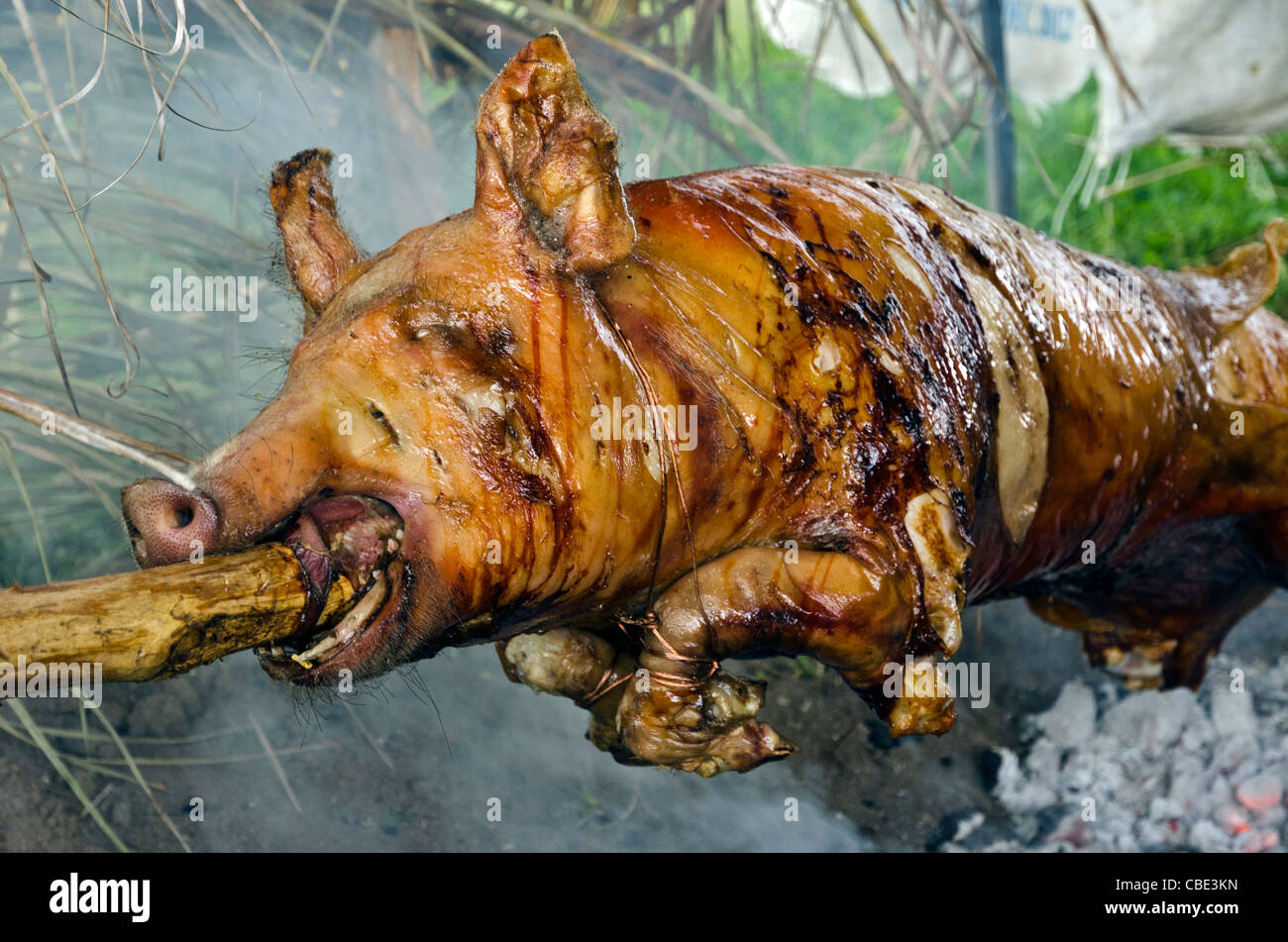 Pork being roasted on a spit Santa Maria del Mar Havana Cuba Stock ...