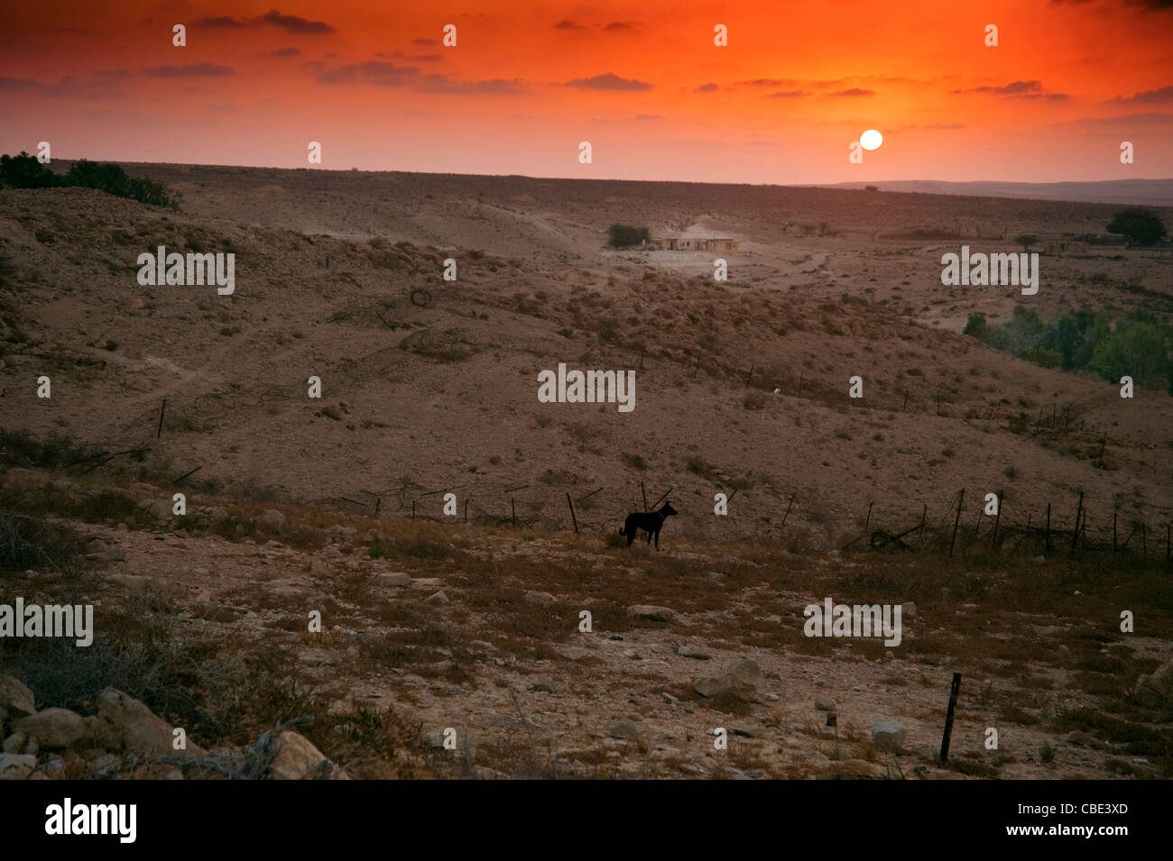 Israel, Negev Desert landscape at sunset Stock Photo - Alamy