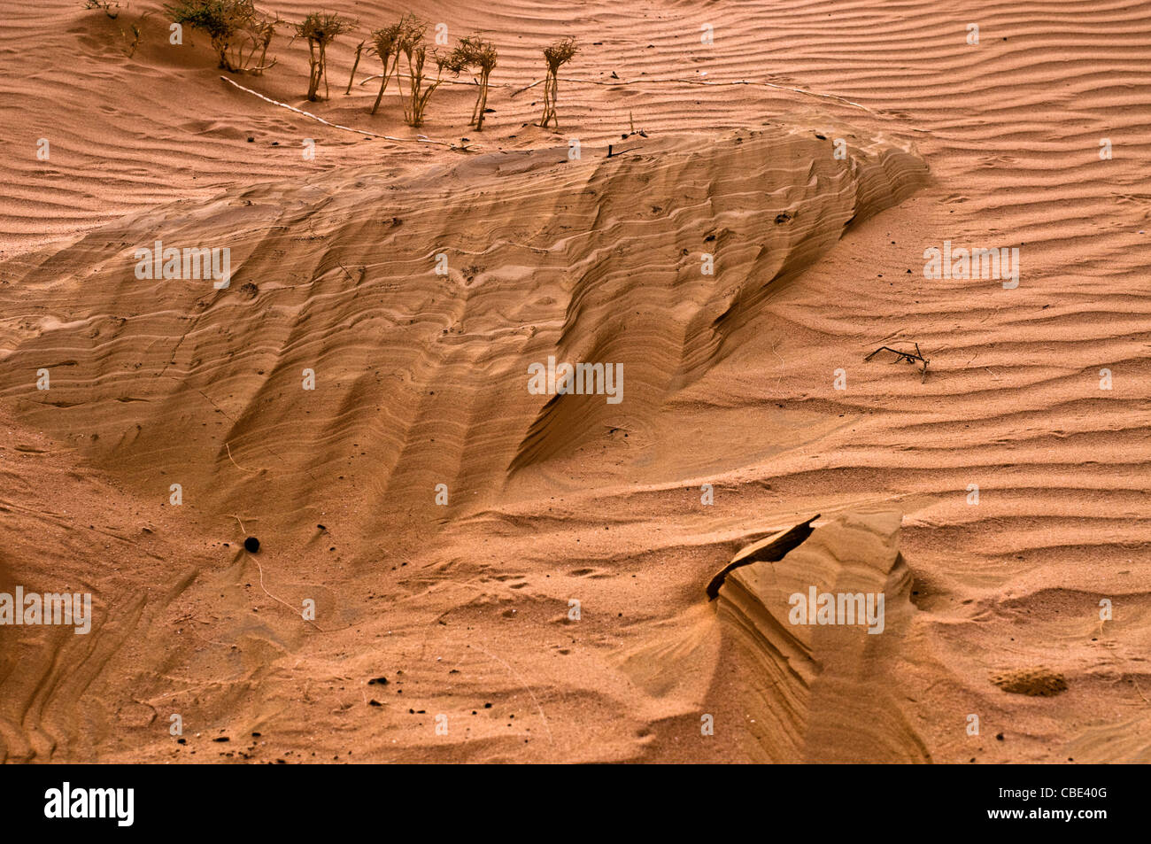 Desert sand dune Photographed in Israel Negev Desert Stock Photo - Alamy