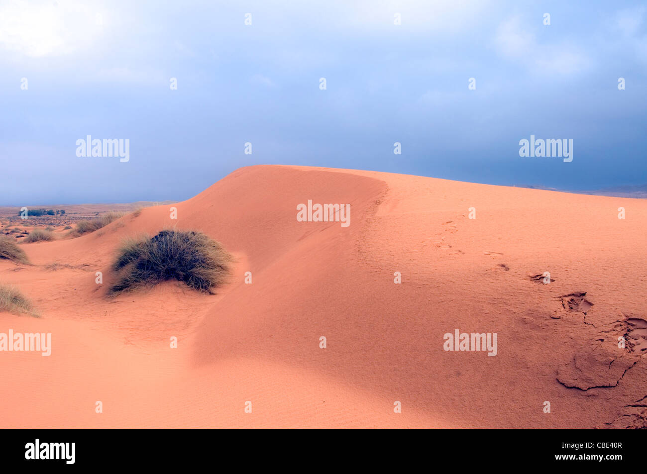Desert sand dune Photographed in Israel Negev Desert Stock Photo - Alamy