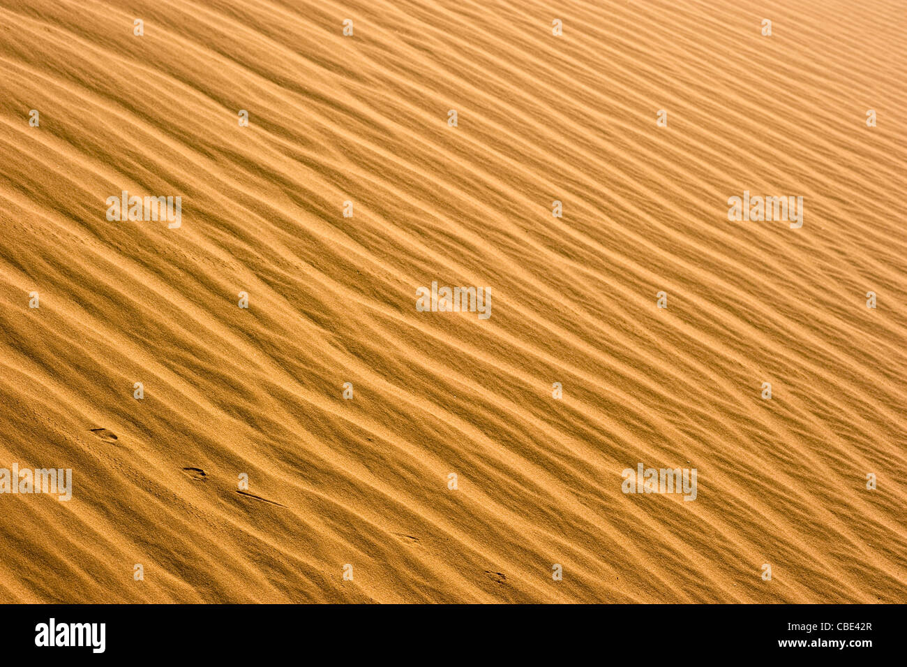 Dunes in israel hi-res stock photography and images - Alamy