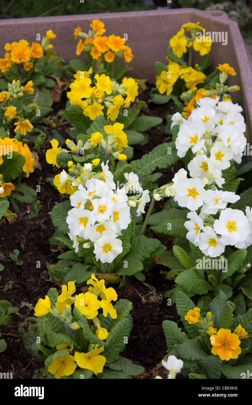 Codnor hi-res stock photography and images - Alamy