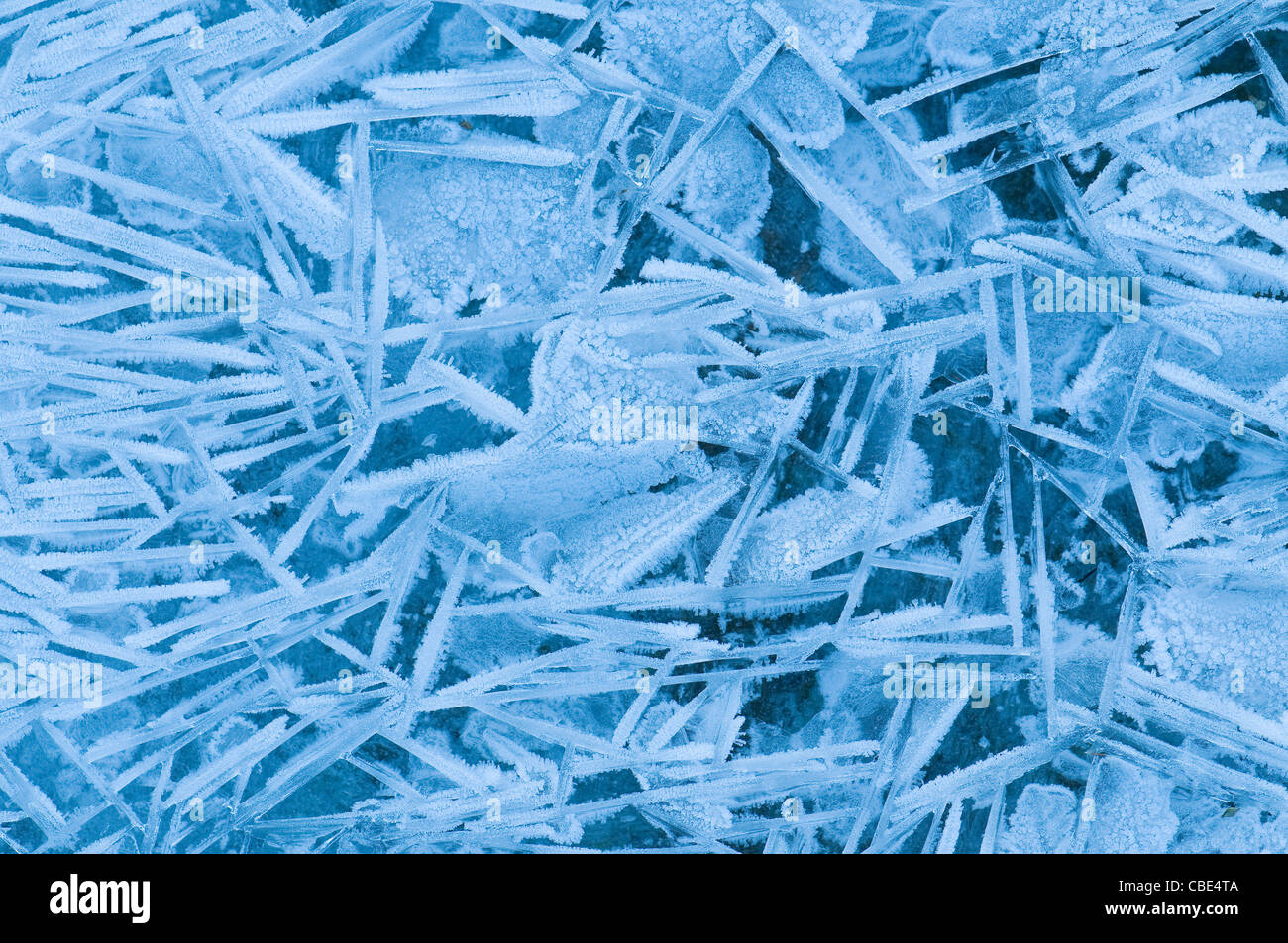 Close line formation hi-res stock photography and images - Alamy