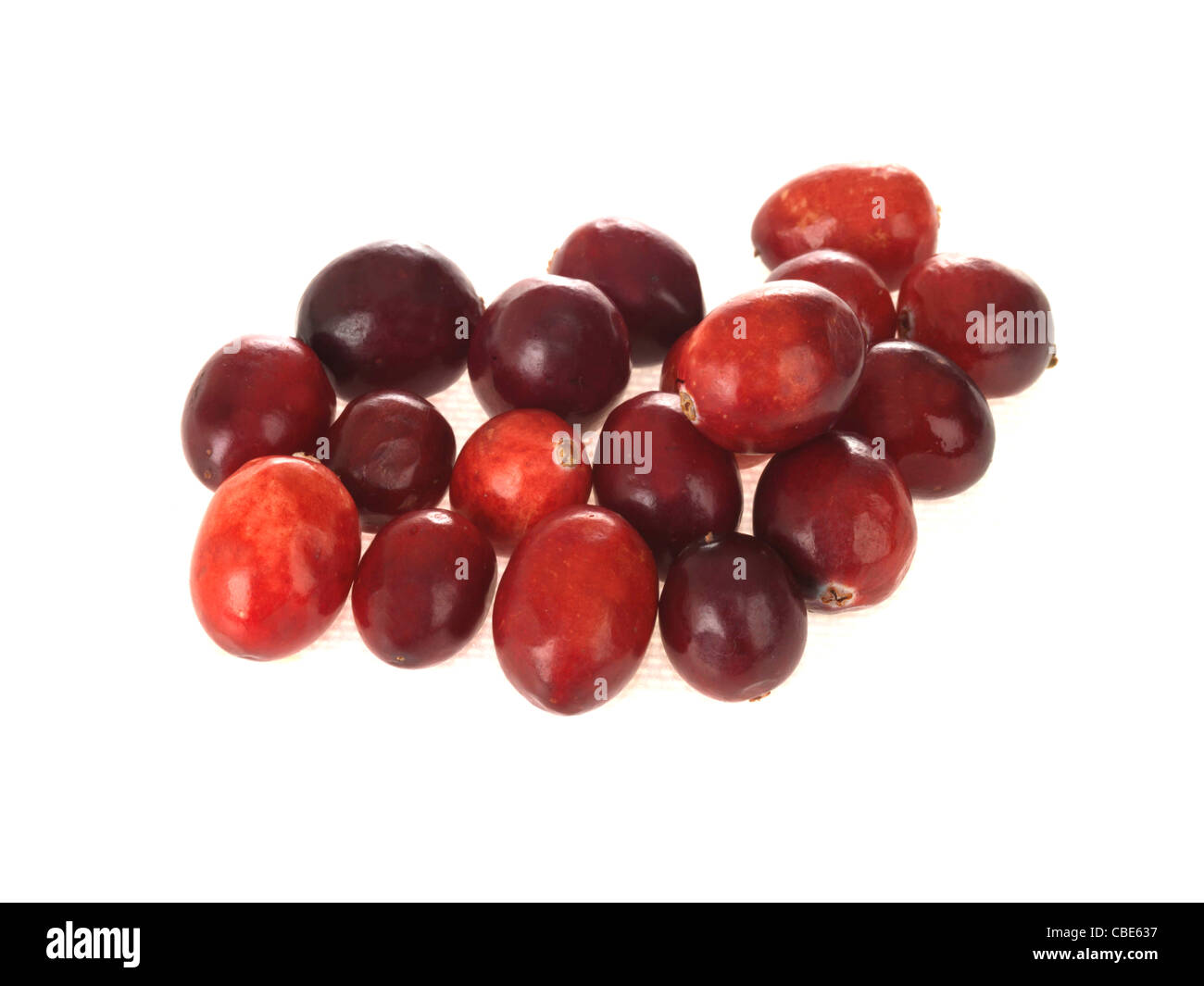 Cranberries cooking hi-res stock photography and images - Alamy