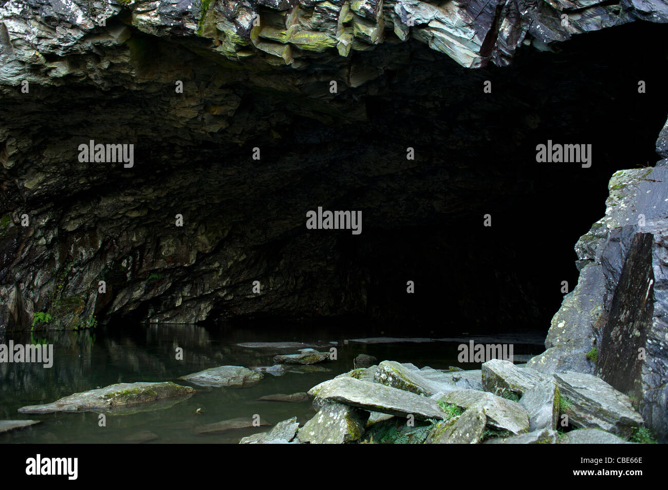Caves at Rydal Water, Lake District Cumbria, UK Stock Photo - Alamy
