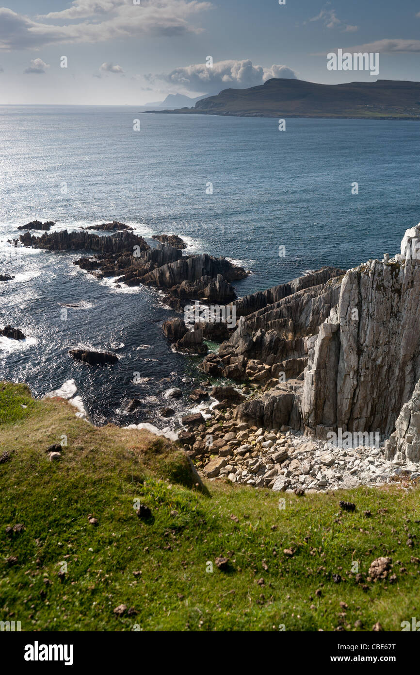 Shore grass hi-res stock photography and images - Alamy