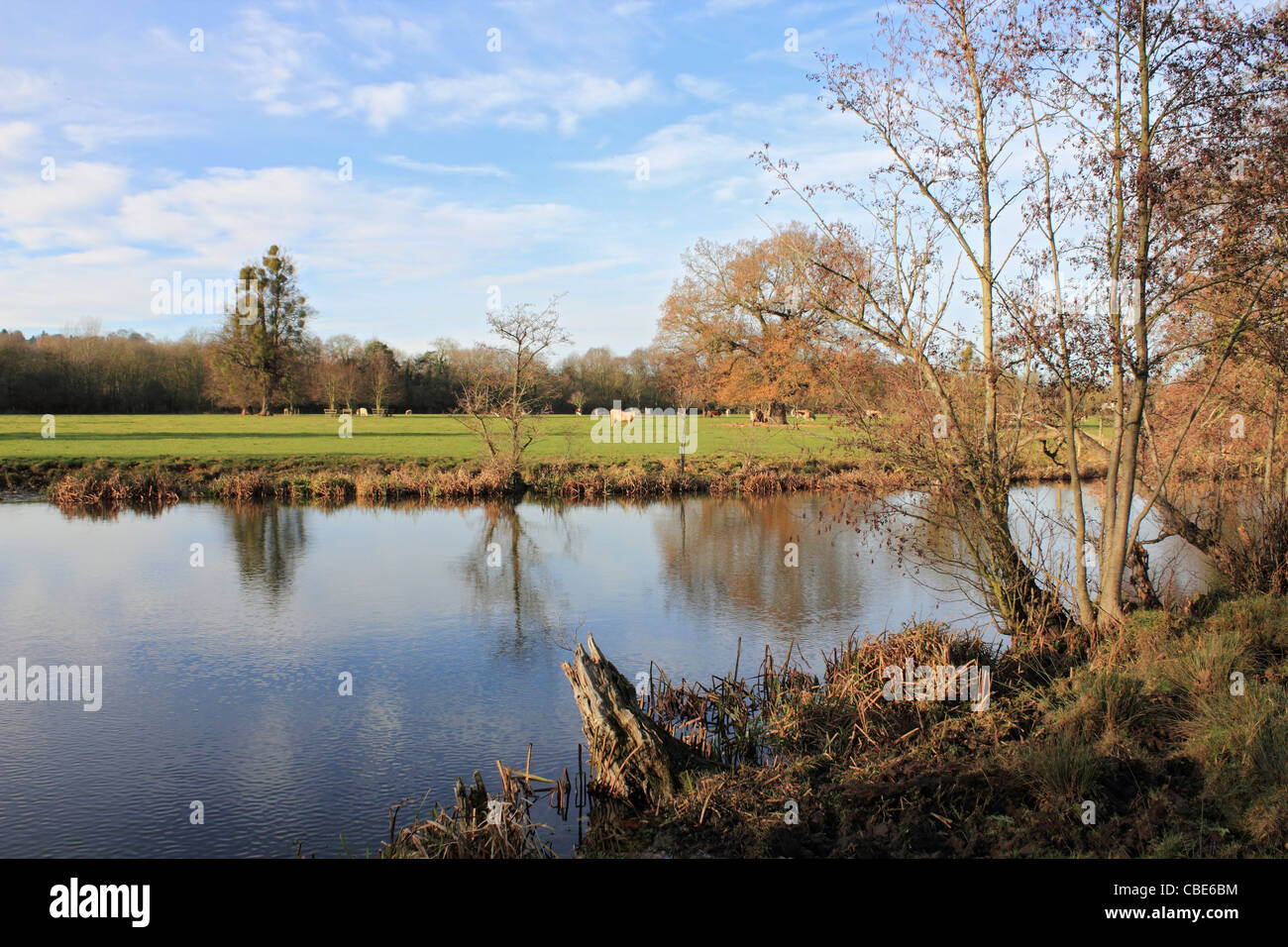 Lake at Ankerwycke parkland close to the ruins of St Mary's Priory ...