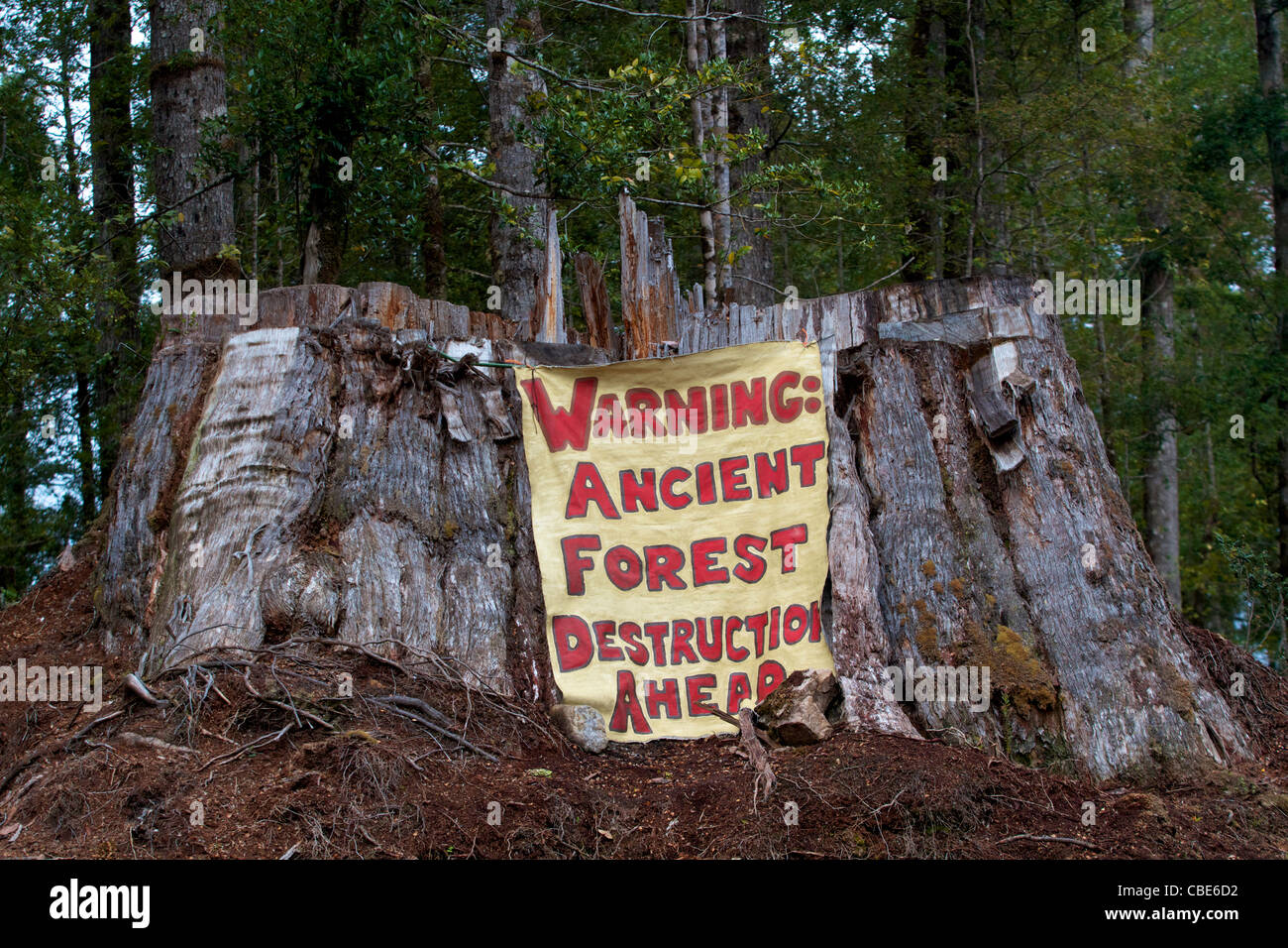 Forest destruction hi-res stock photography and images - Alamy