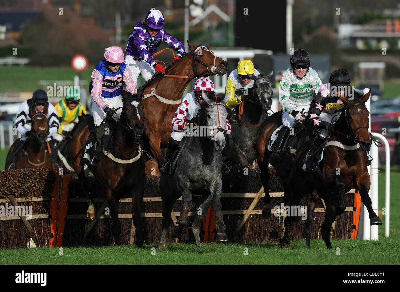 Racehorses and Jockeys in action over a jump during a Horse Race Stock ...
