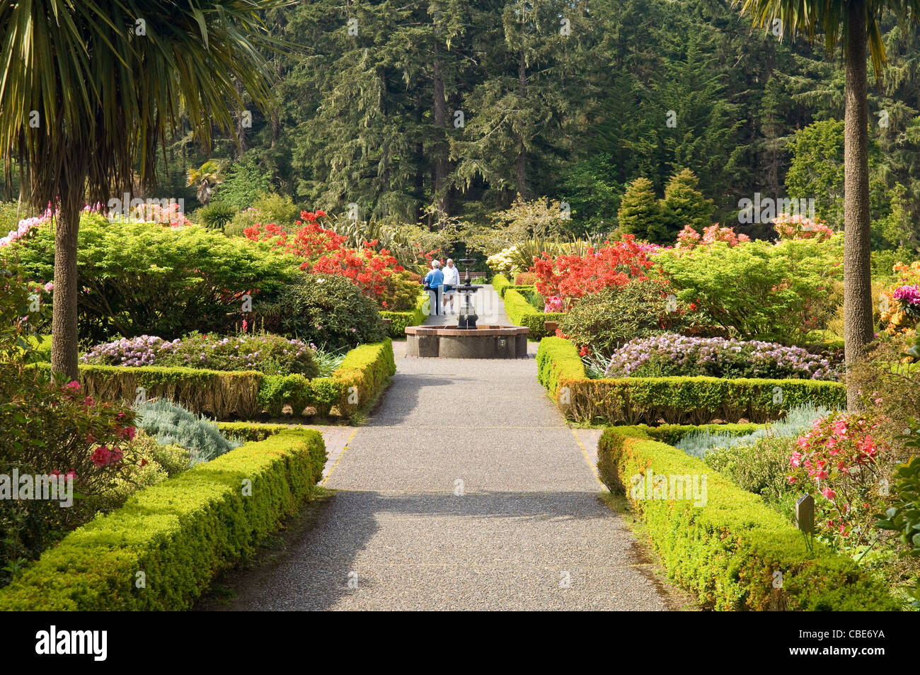 Shore acres state park hi-res stock photography and images - Alamy