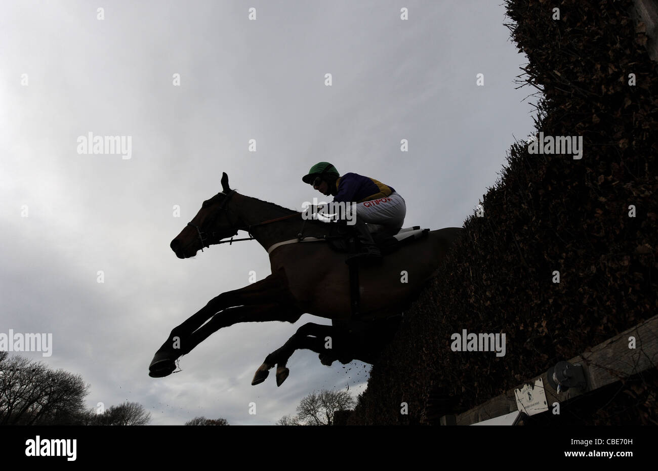 Racehorses and Jockeys in action over a jump during a Horse Race Stock ...