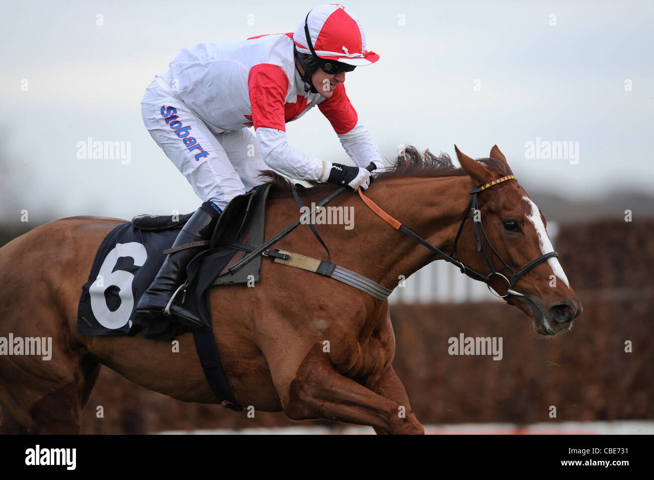 Jockey Tony McCoy in action during a Horse Race Stock Photo - Alamy