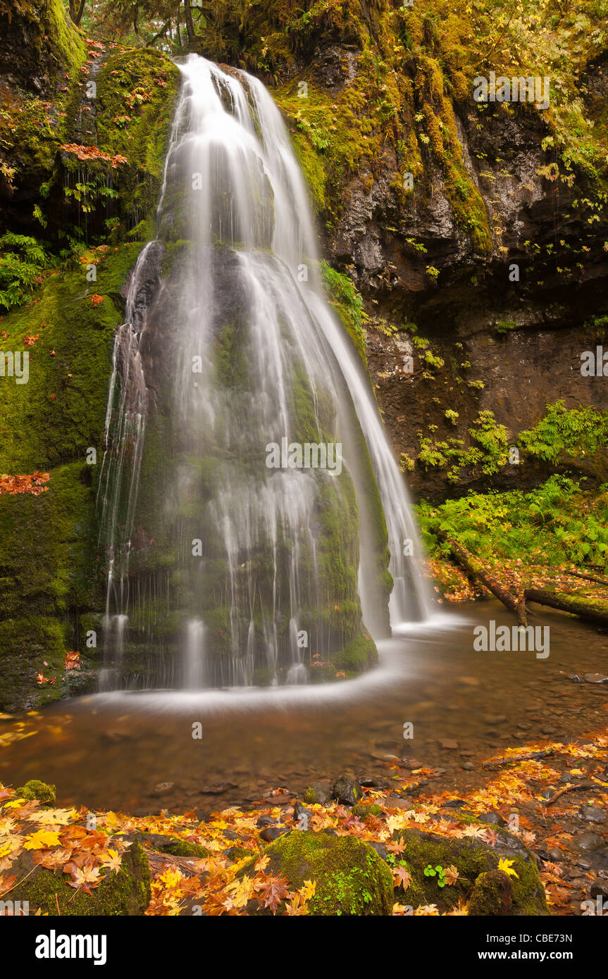 Spirit Falls; Umpqua National Forest, Cascade Mountains, Oregon Stock ...