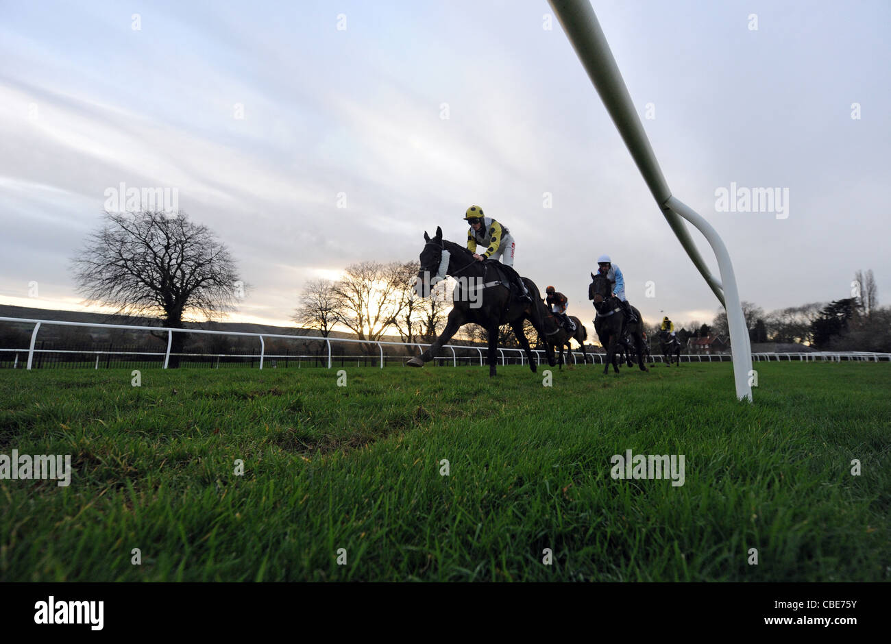 Racehorses and Jockeys in action over a jump during a Horse Race Stock ...