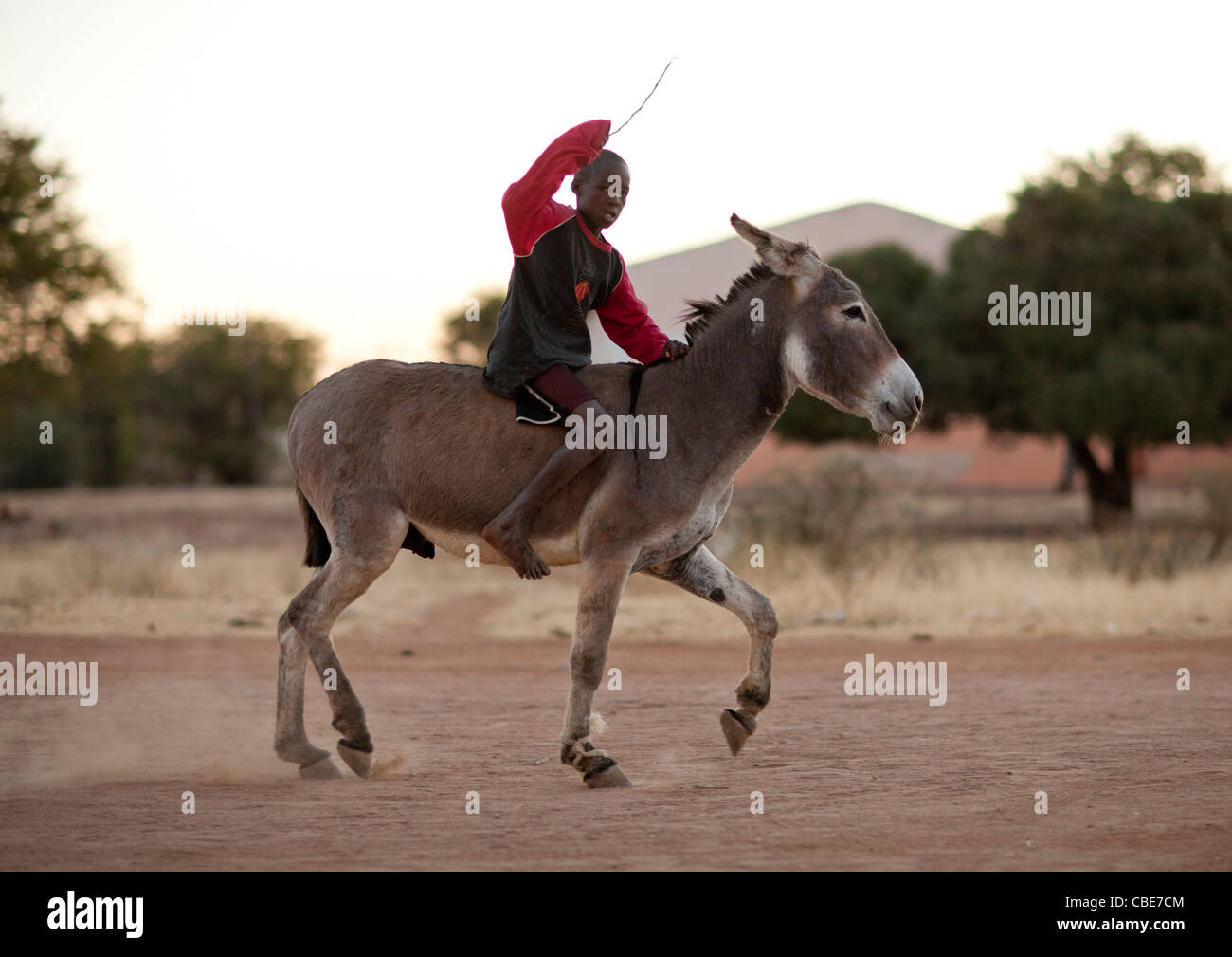 Child riding a donkey africa hi-res stock photography and images - Alamy