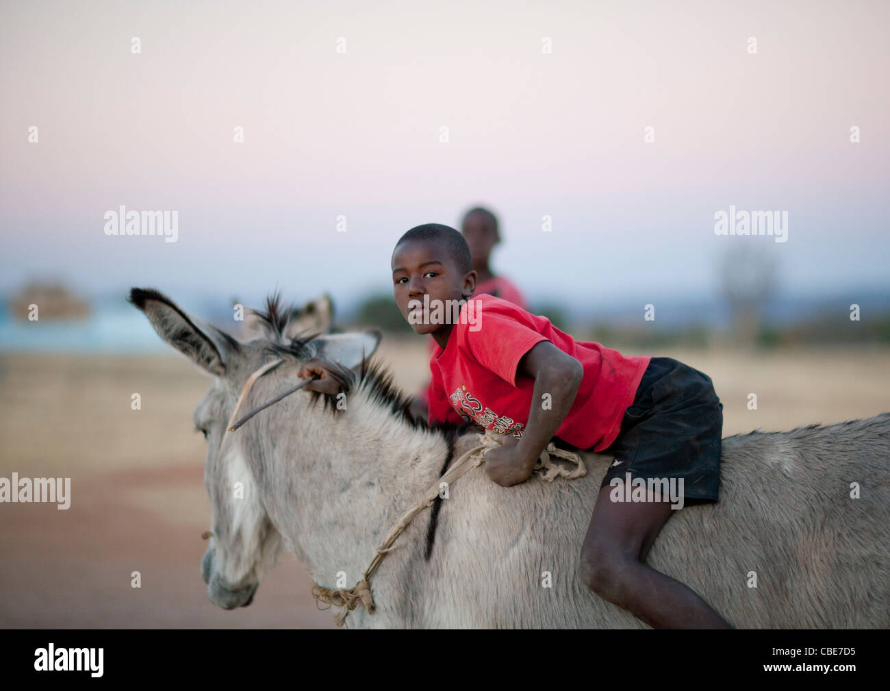 Boy Riding A Donkey In The Village Of Oncocua, Angola Stock Photo - Alamy