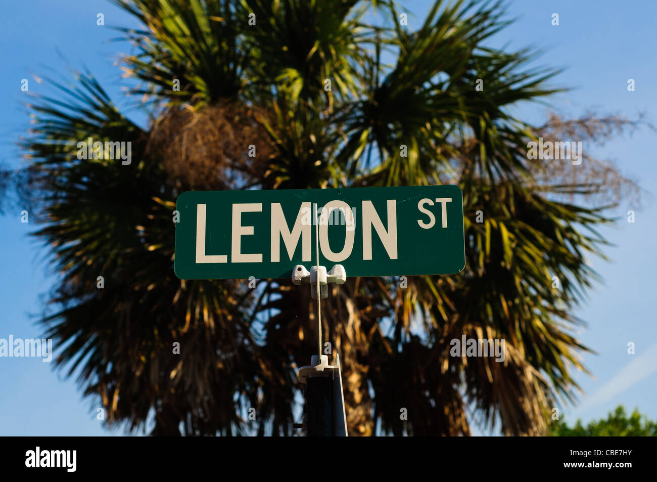 Lemon Street sign against palm tree and blue sky Stock Photo - Alamy