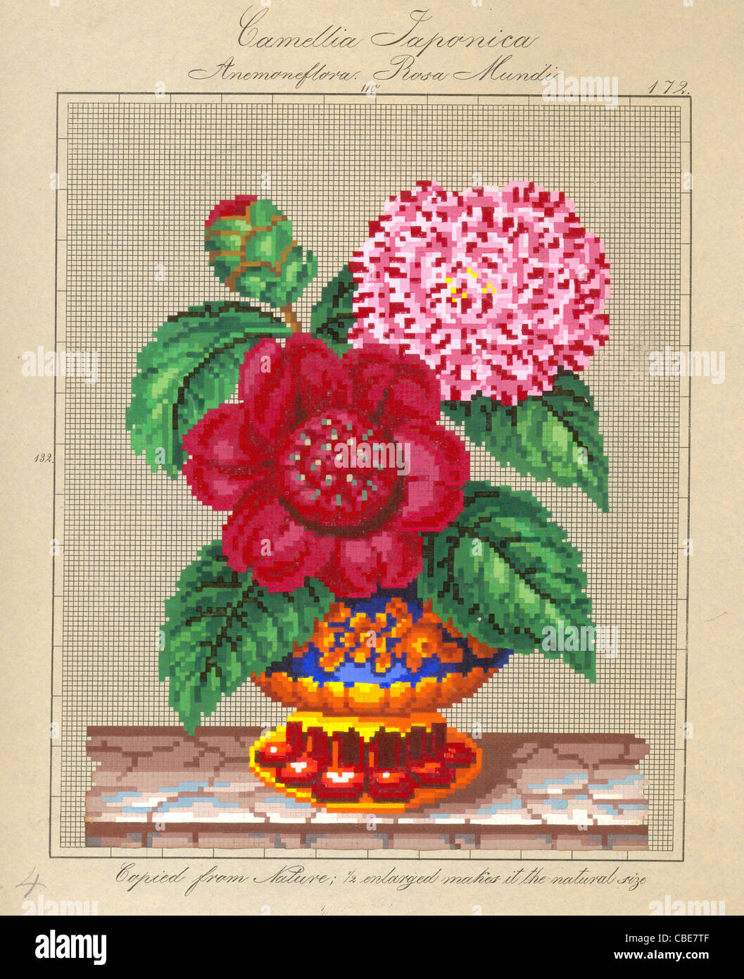 Berlin wool work pattern for Camellia Japonica and Rosa Mundi Stock ...