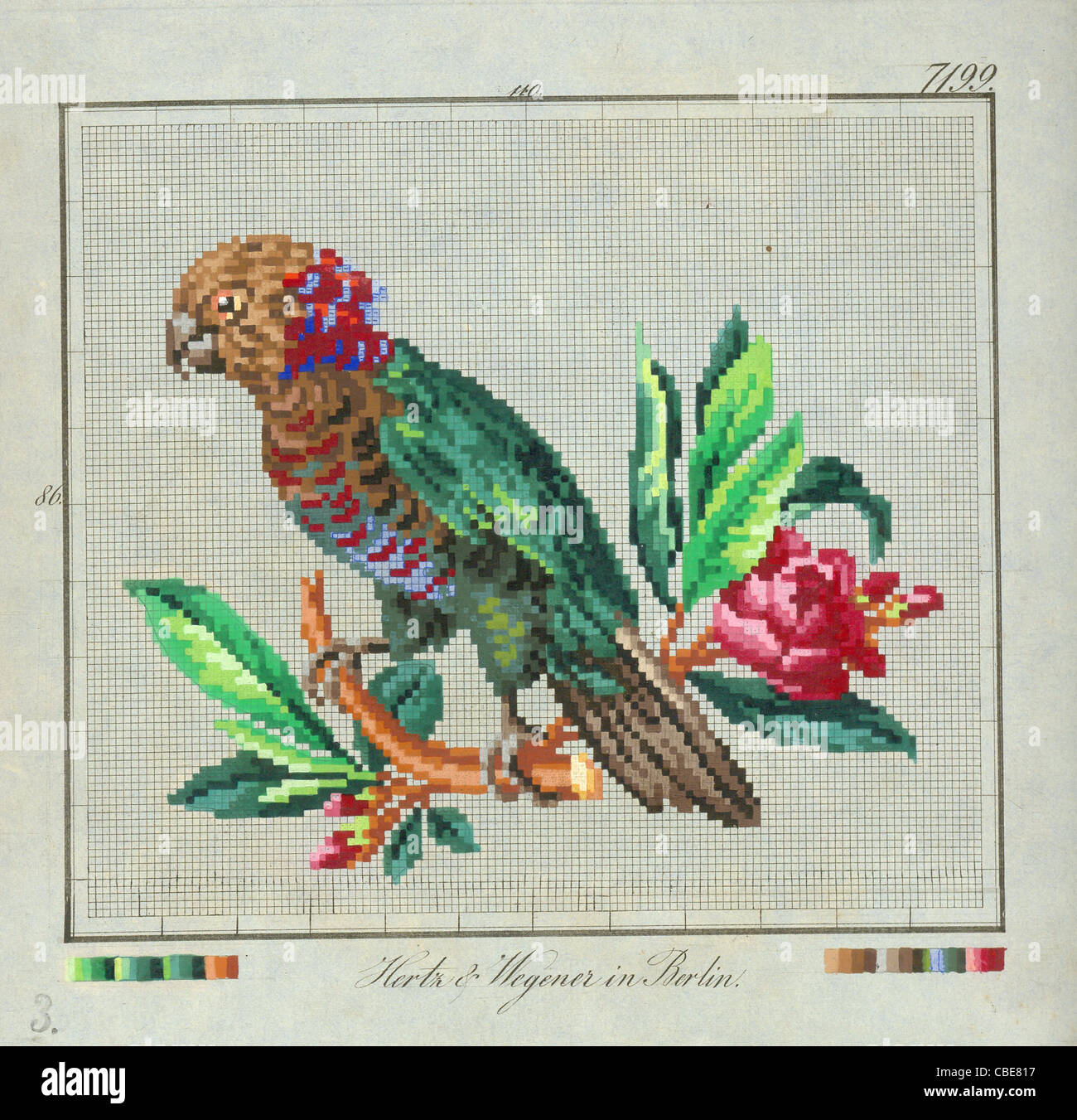 Pattern for Berlin wool work of a Hawk headed Parrot Stock Photo - Alamy