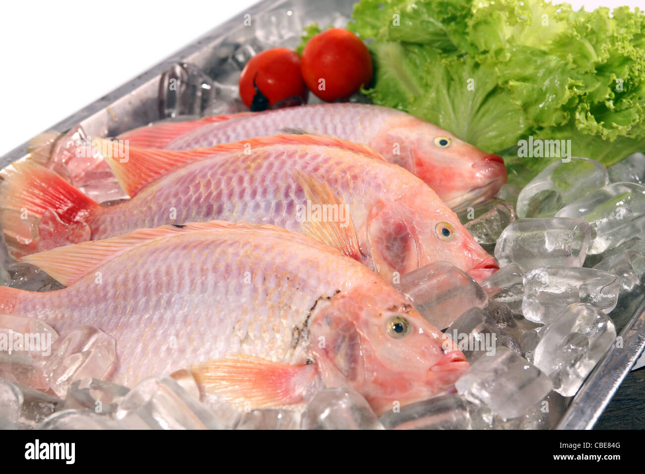 Fresh Red fish on ice Stock Photo - Alamy