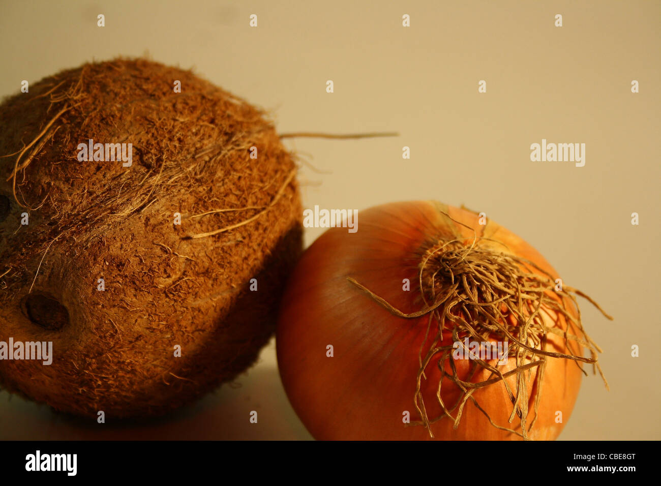 Coconut roots hi-res stock photography and images - Alamy
