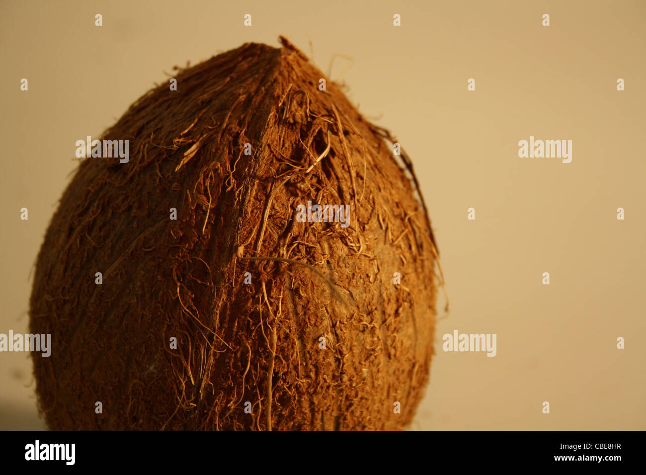 Dry coconut shell hi-res stock photography and images - Alamy